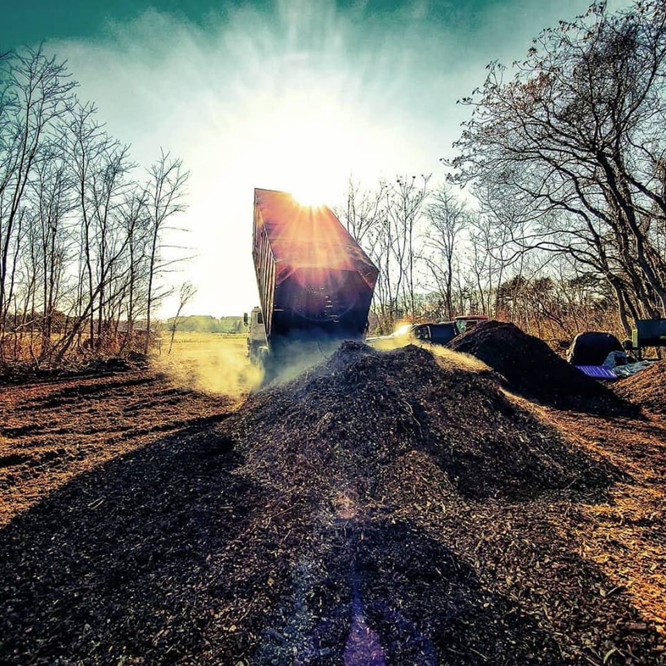 Free Wood Chip Mulch from ChipDrop